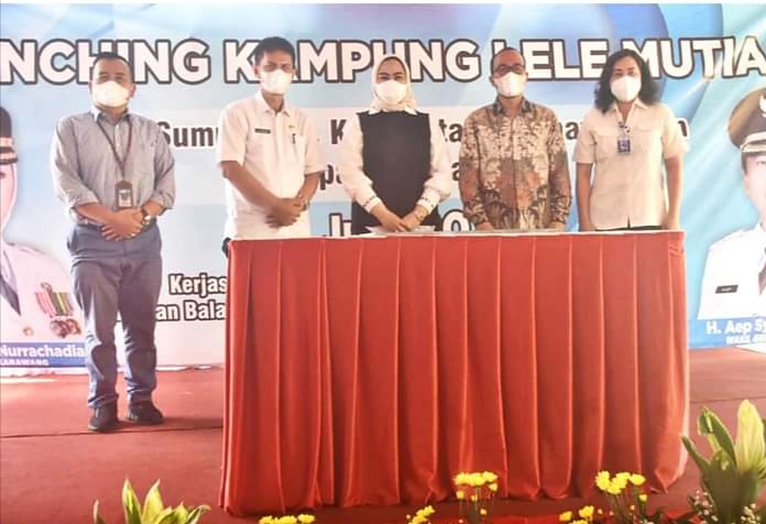Selain Industri, Karawang Punya Kampung Lele | Fakta Jabar Selain Industri, Karawang Punya Kampung Lele | Fakta Jabar