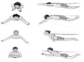 Panduan teknik Renang Gaya Dada untuk Pemula | Fakta Jabar