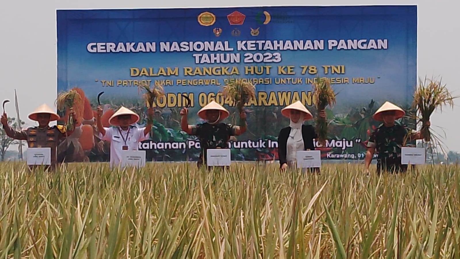 Panen Raya di Karawang, Gerakan Nasional Ketahanan Pangan | Fakta Jabar