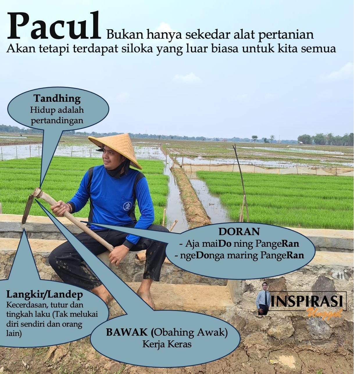 Pacul Jadi Bagian Perjalanan Panjang Peradaban dan Kolaborasi Antara ...