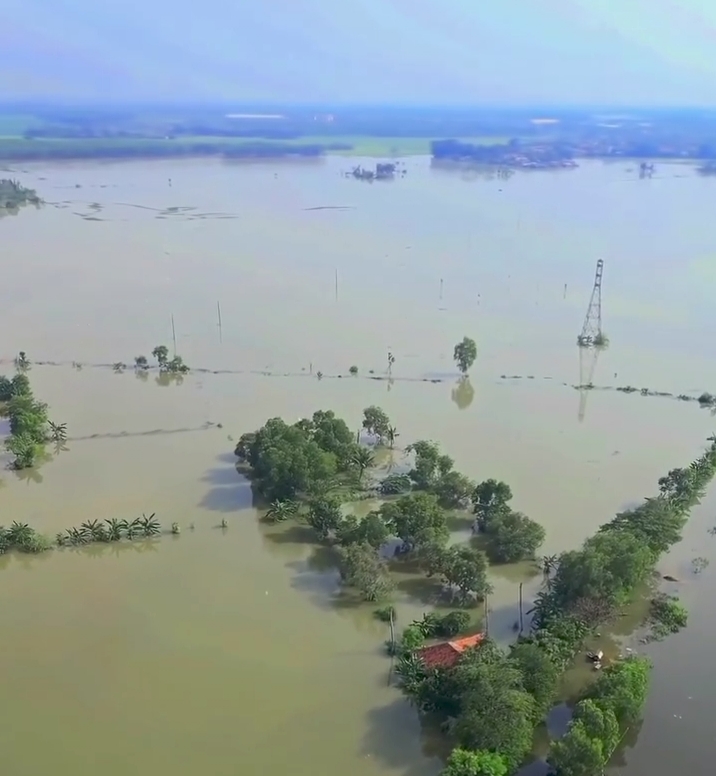 Puluhan Hektare Sawah Terendam Banjir, Petani Gagal Panen? | Fakta Jabar